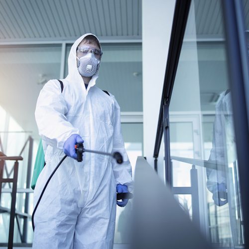 Pest Control Toronto | Extermination & Removal Services - GTAPC