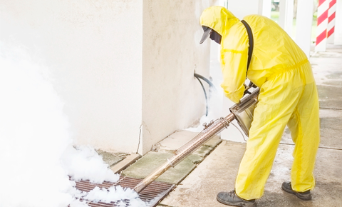 Pest Control Toronto | Extermination & Removal Services - GTAPC